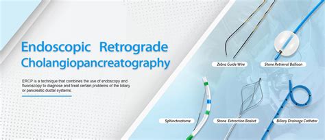 Cholangioscopy With Choledochoscope Ds Ii Direct Visualization System Ercp Direct