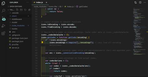 Node Js Cant Find Module Encodings Stack Overflow