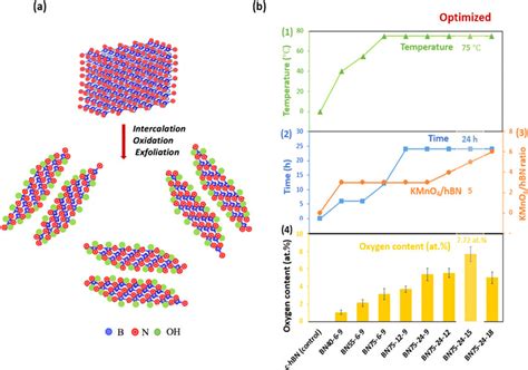 A Schematic Diagram Of The Preparation Of Edge Functionalized Fl Hbn Download Scientific