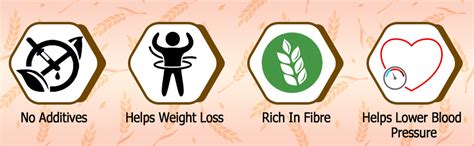 Sampada Agritech Pusa Basmati Paddy Seeds 1509 Dhan Rice And Paddy