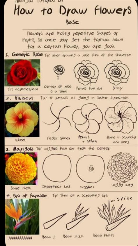 How To Draw A Flower Step By Step Image Guides Artofit