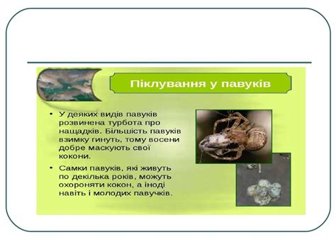 Турбота про потомство у тварин презентация онлайн
