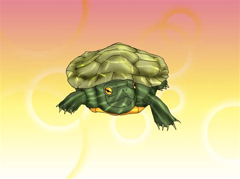 How To Care For A Red Eared Slider Turtle With Pictures