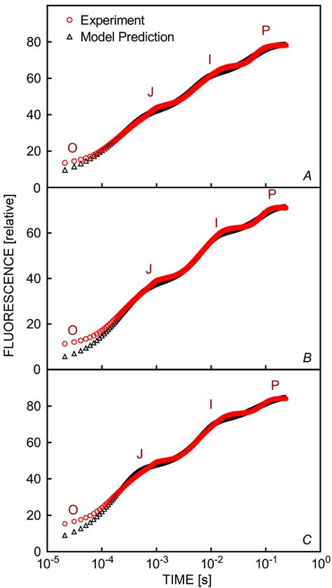 Comparison Of Experimental Data And Model Prediction A Download