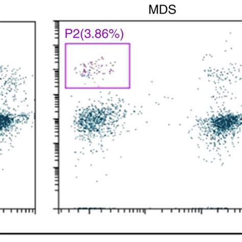 Perforin Granzyme B And Cd107a Expression On Target Nk Cells A The