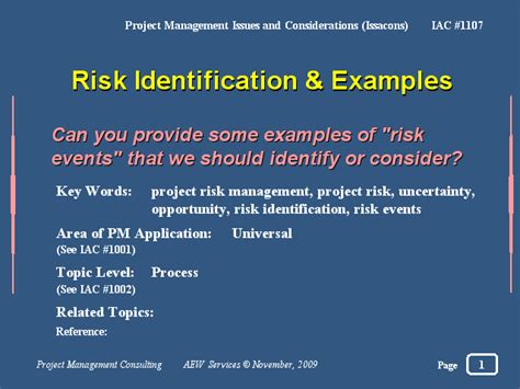 Risk Identification And Examples