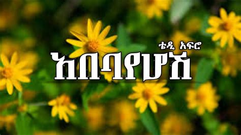 ቴዲ አፍሮ Abebayewosh Lyrics አበባየዎሽ የአዲስ አመት ሙዚቃ Youtube
