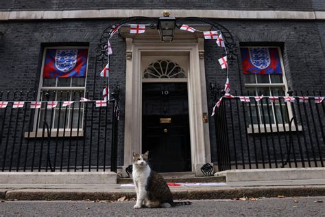 香港國 自由 Hong Kong State Freedom