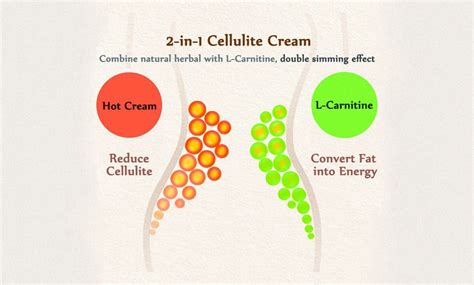 Up To 75 Off On Hot Cream Cellulite Cream Sli Groupon Goods