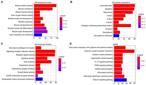 Identification Of Key Pathways And Degs A Gsea Enrichment Score