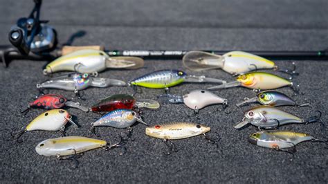 Buyers Guide Crankbait Fishing Shallow Deep Lipless Rods Reels