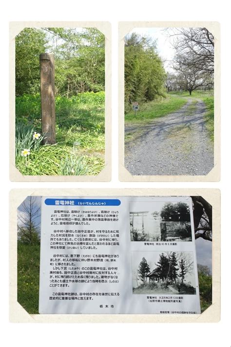 渡良瀬遊水地と旧谷中村 夢見がちの