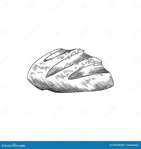 Panes Dibujados A Mano En Forma De Boceto Grabado Ilustración Vectorial