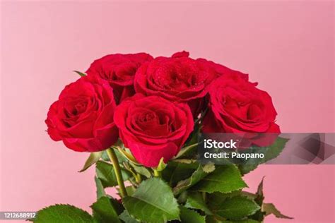 분홍색 배경에 빨간 장미 꽃다발 발렌타인 데이 여성의 날 인사말 카드입니다 휴일 개념입니다 결혼식에 대한 스톡 사진 및 기타