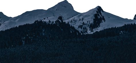 Seattle Web Design And Development Agency Black Antelope