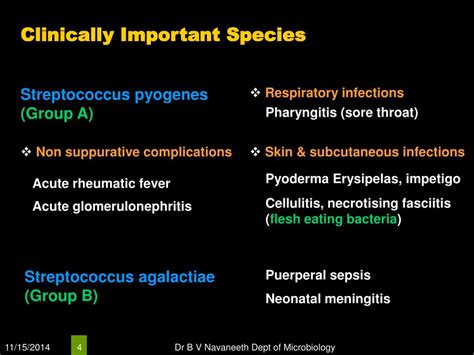Ppt Gram Positive Cocci Gpc Powerpoint Presentation Free Download