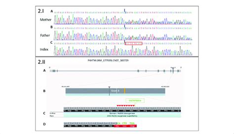2 I Sanger Sequencing Electropherograms Of A Novel Deletion 8