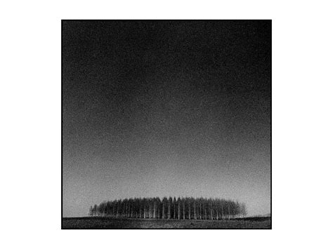 Березовая Роща — Влад Меднов Фото Камералабс