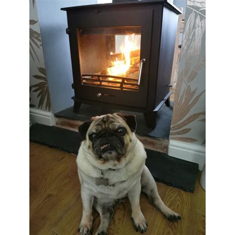 Kw Ottawa Clean Burn Contemporary Wood Burning Multi Fuel Stove