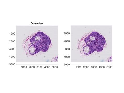 Explore Blocked Image Details With Interactive ROIs MATLAB Simulink