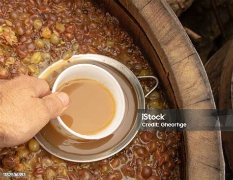 화이트 와인 발효 과정에서 손으로 와인 한 잔을 가져 가라 와인 주스 한 잔 와인 제조 컨셉 0명에 대한 스톡 사진 및 기타 이미지 Istock