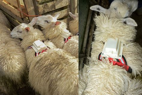 The Farms Of The Future Researchers Are Looking Ahead To Plan… By Bbsrc Medium