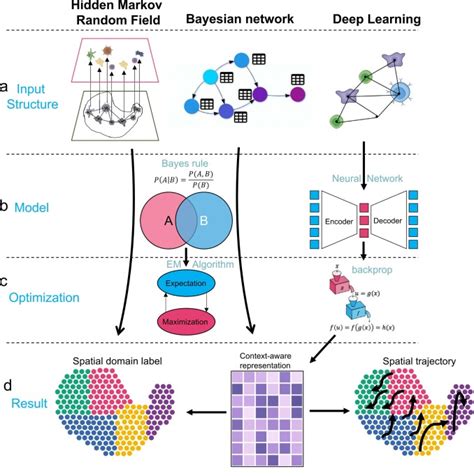 Harnessing Computational Spatial Omics To Explore The Spatial Biology