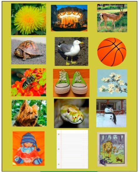 Scientific Classification Living And Non Living Things Edgeucating