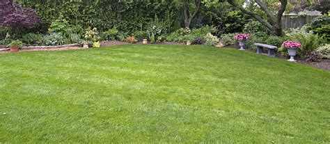 Best Sod Choices For The Orlando Florida Area Lake Jem Farms