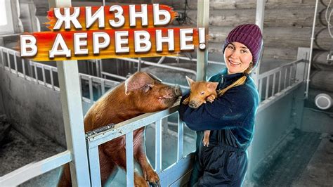 Приехали гости на ферму да со своими животными Установили