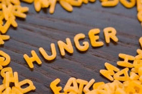 Hunger Hormones Influence The Decision Making Brain Area Which