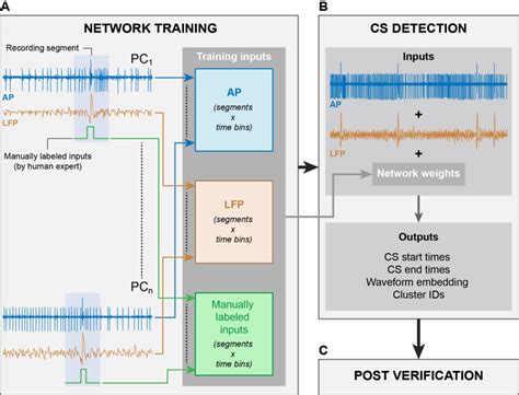 How To Detect Complex Spikes Of Cerebellar Purkinje Cells Hafed Lab