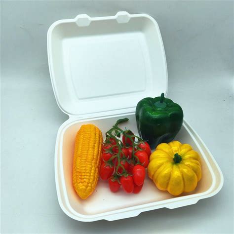 Custom 6x6 Inch Take Away Lunch Packing Fast Food Biodegradable