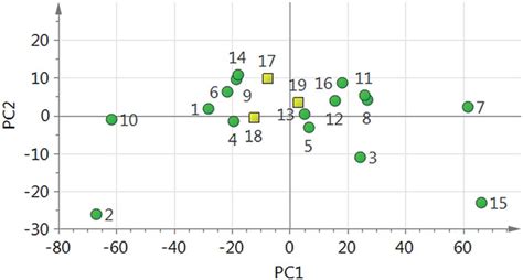 PCA score plot t 1 À t 2 of the 19 supernatants marked by their Download Scientific Diagram
