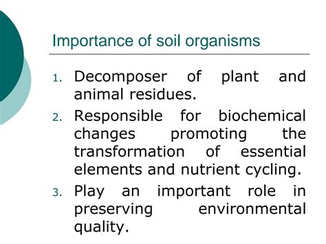 SOLUTION Soil Microbiology Soil Science Studypool