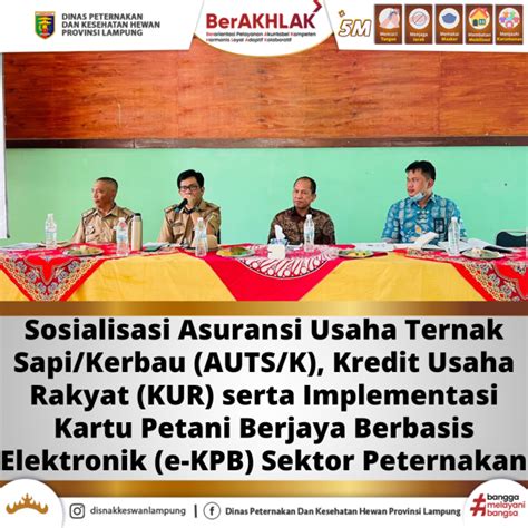Sosialisasi Asuransi Usaha Ternak Sapikerbau Autsk Kredit Usaha