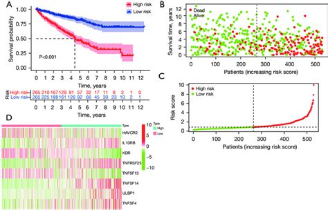 Validation Of EZH2 Regulated Immune Risk Score Prognostic Model A