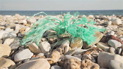不可生物降解 亂扔垃圾 保護 免洗塑膠 受污染的海灘 可持續性 回收 垃圾 城市海灘 塑料垃圾 塑料污染 塑膠
