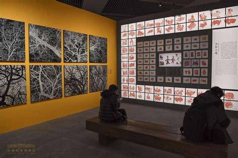 走，在国博跟着潘鲁生“到民间去”展览传统工艺