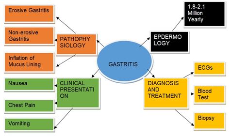 Gastrointestinal Tract And Disorders Of Motility Free Essay Example