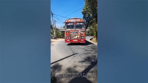 අලුත් Vip Update එකෙන් පස්සේ නුවර ආපු දුඹුරු පැටික්කි😍අම්මෝ කොහොමද