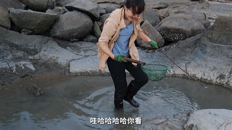猪猪赶海掉进臭水坑，没想到里面竟躲着不少海货，一连捞好几只 Youtube