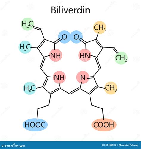 Hemoglobin Molecular Structure Diagram Medical Stock Illustration Illustration Of Chemical