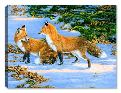 Carol Decker Wildlife Artist Canvas Art Plus