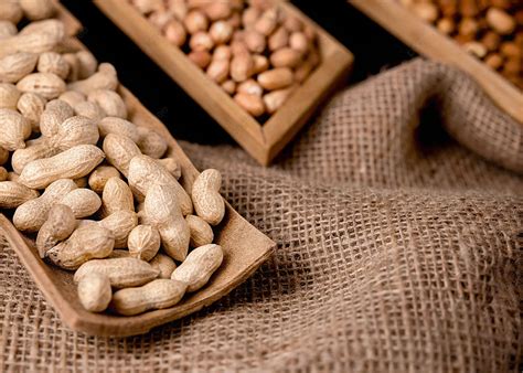 Peanuts On Display Background Images Hd Pictures And Wallpaper For Free Download Pngtree