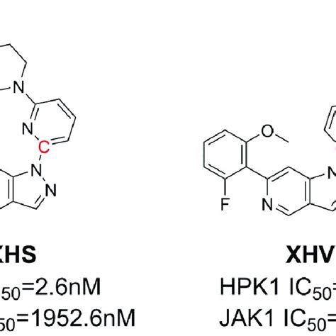 The Chemical Structures And Ic50 Of The Inhibitors Studied In This Work