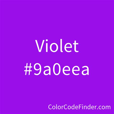 Violet Color Code Is 9a0eea Violet Color Code Is 9a0eea
