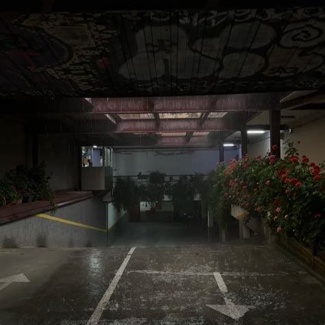 Buddy Keaton Buddykeaton • Instagram Photos And Videos