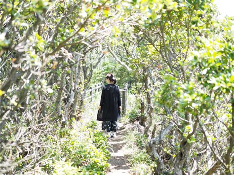 潮岬の鯨山見の口コミ 小道を抜けると目の前に広がる海 TRIPROUD