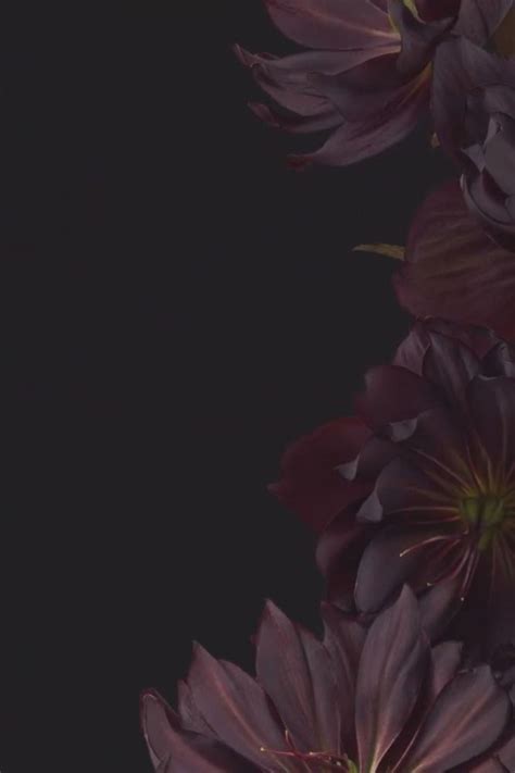 🔥 30 Android 12 Wallpapers Wallpapersafari